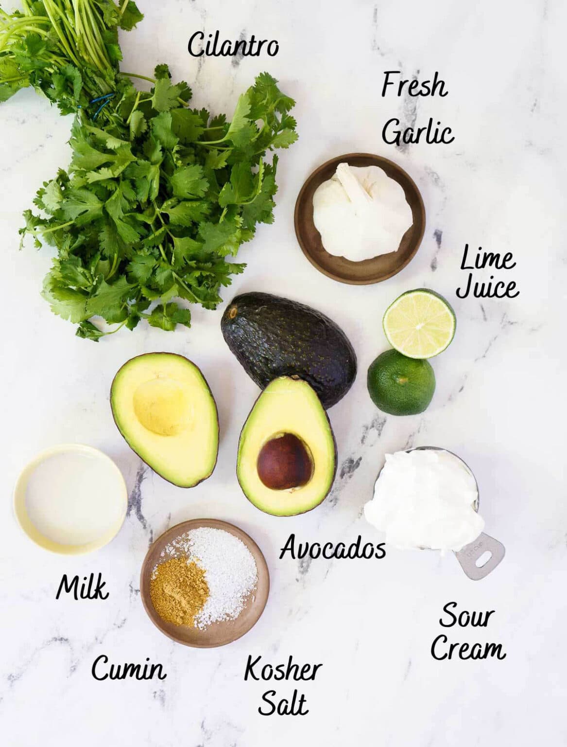 Avocado Crema with Lime and Cilantro- Peel with Zeal