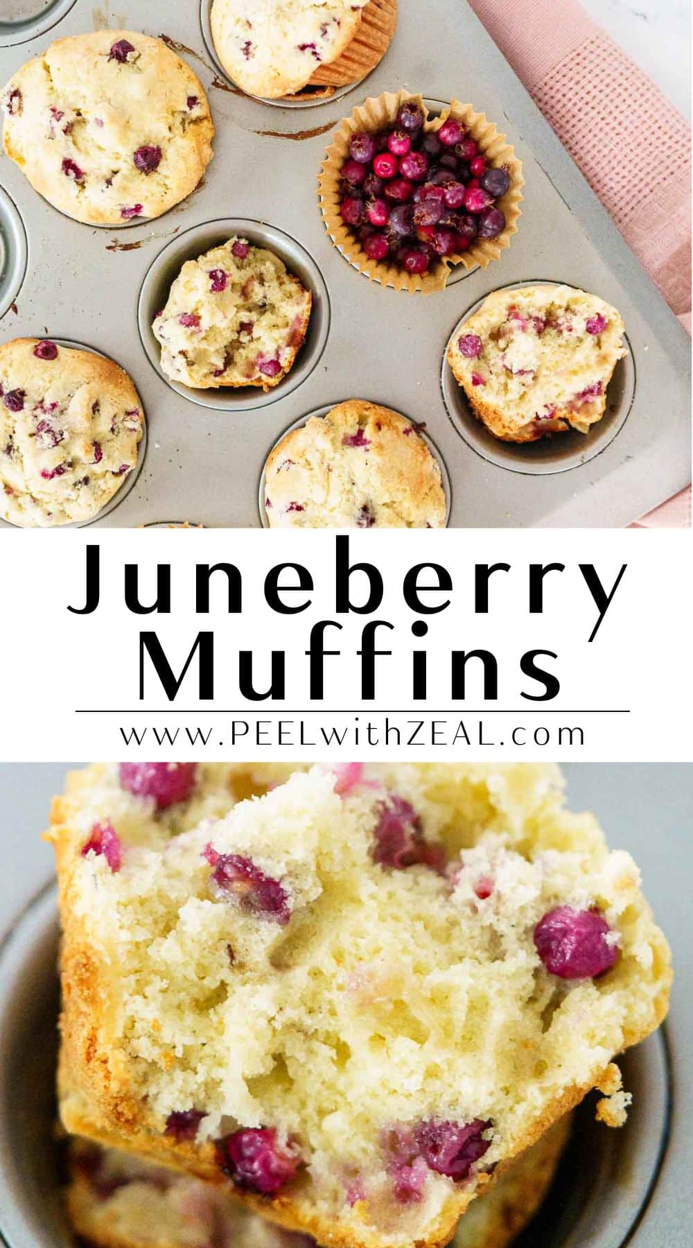Serviceberry Muffins - Peel with Zeal