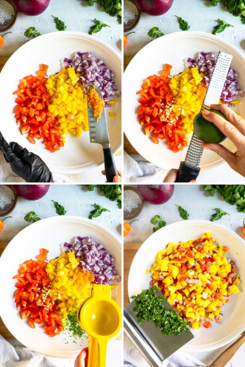 Spicy Mango Habanero Salsa - Peel with Zeal