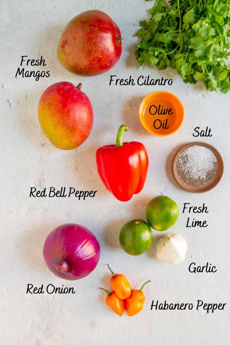 Spicy Mango Habanero Salsa - Peel with Zeal