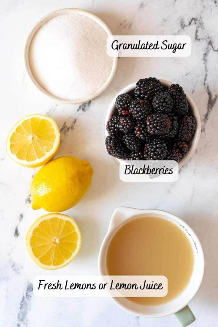 Delicious Blackberry Lemonade Recipe - Peel with Zeal