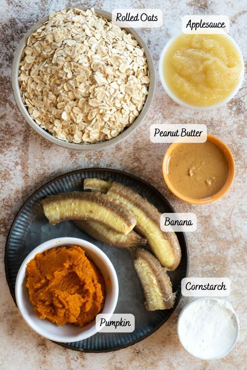 Easy Homemade Oatmeal Dog Treats - Peel with Zeal