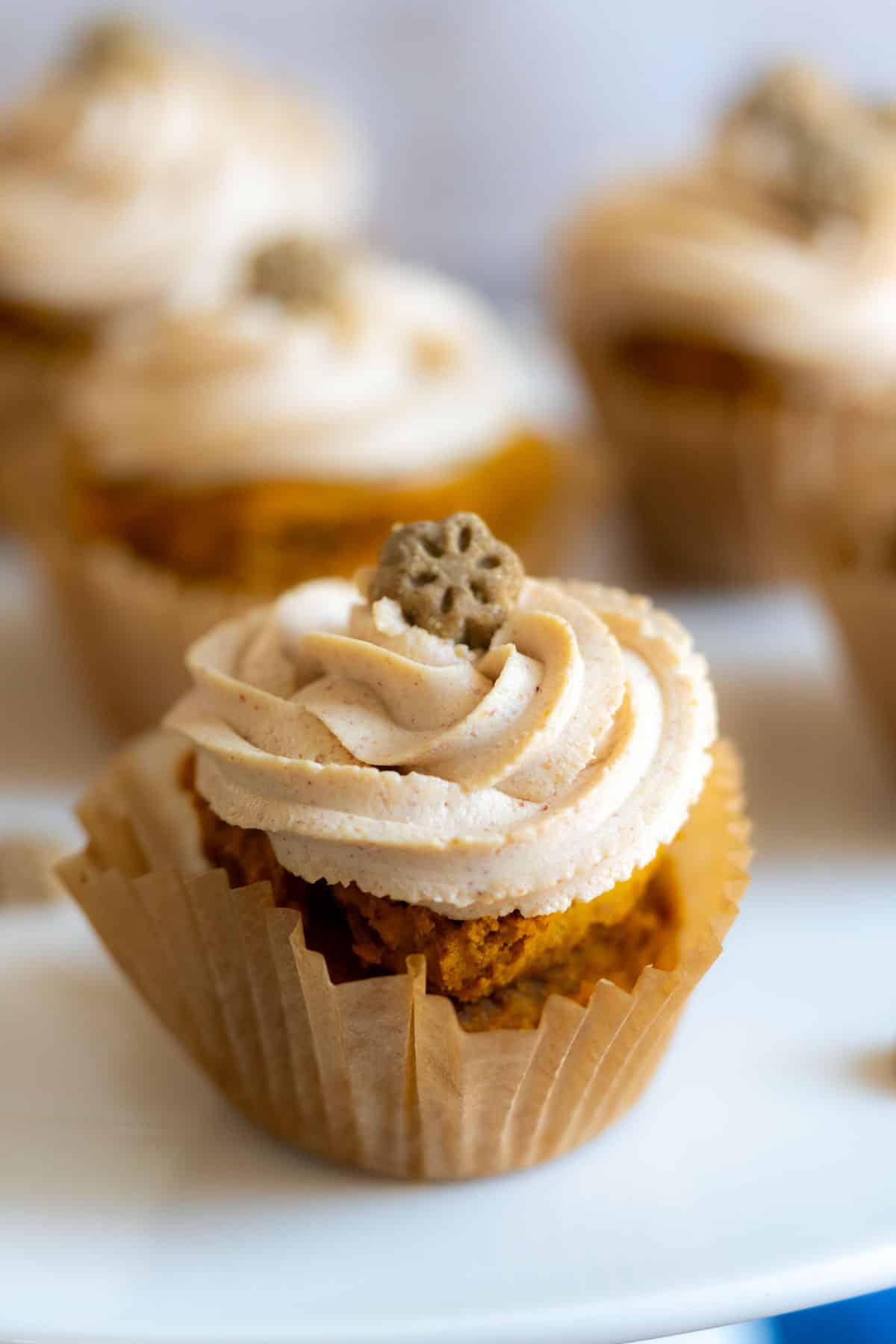 Pumpkin Pupcakes (Cupcakes for Dogs) - Peel with Zeal