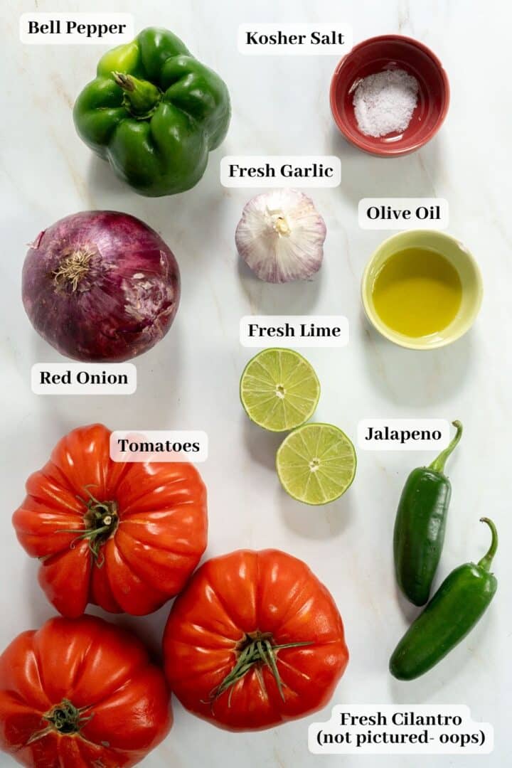 Fresh Garden Salsa Recipe- Peel with Zeal