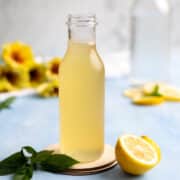 Homemade Lemon Simple Syrup Recipe - Peel with Zeal