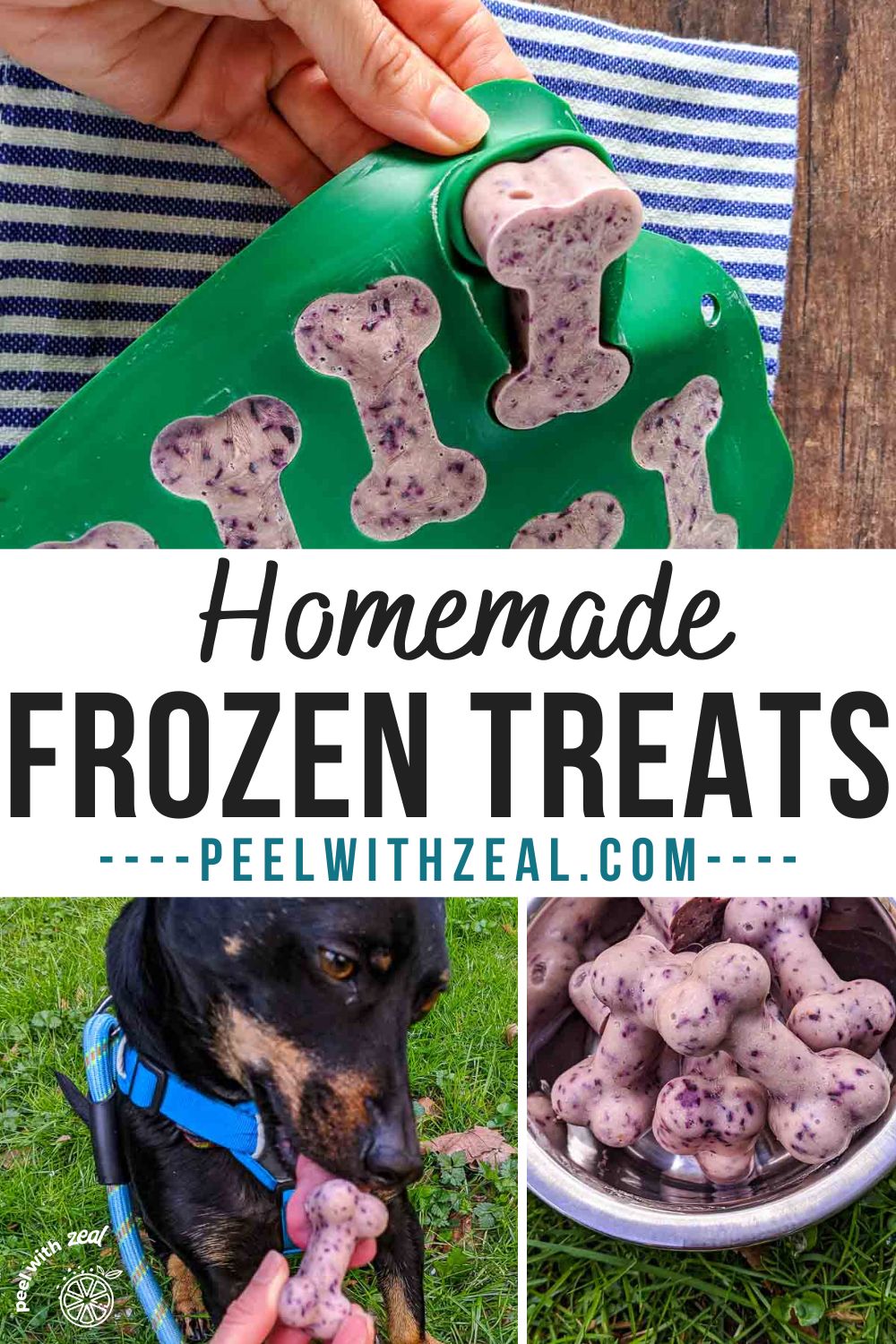 Blueberry Frozen Dog Treats (Easy and Safe) - Peel with Zeal