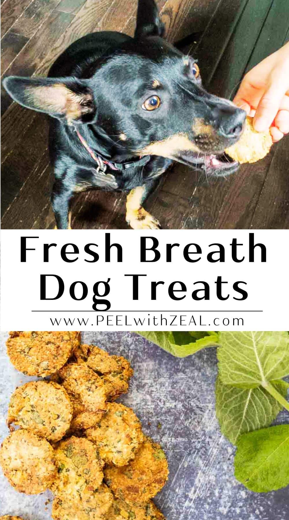 Easy Homemade Breath Mint Dog Treats - Peel with Zeal