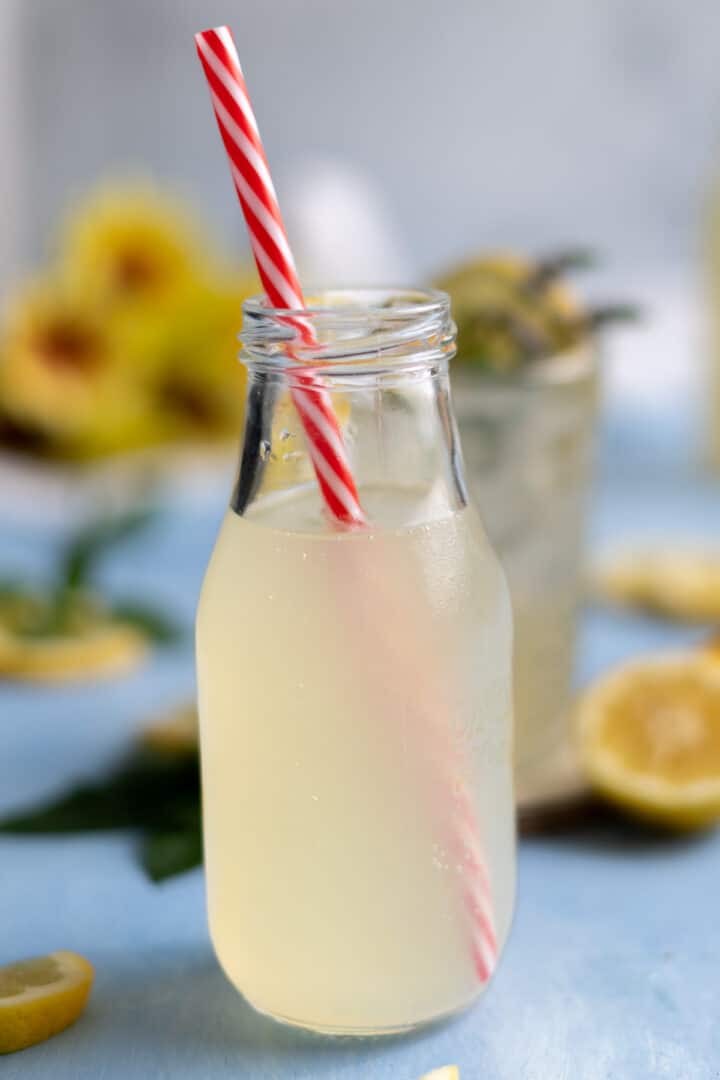 Easy Lemon Soda Recipe - Peel with Zeal