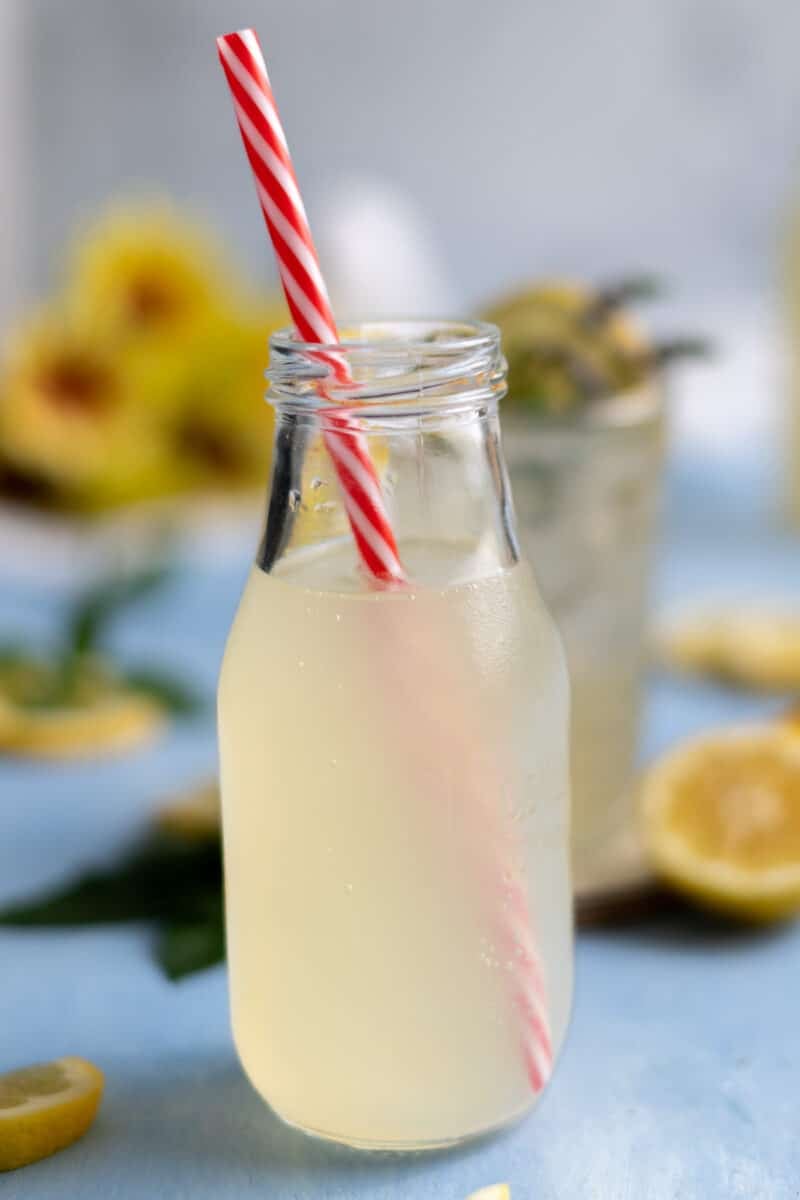 Fresh Lemon Soda Recipe - Peel with Zeal