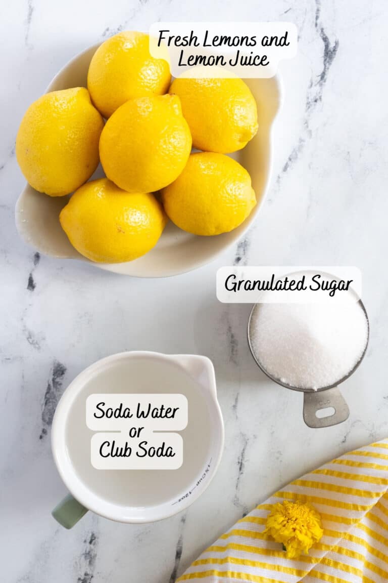 Easy Lemon Soda Recipe - Peel with Zeal