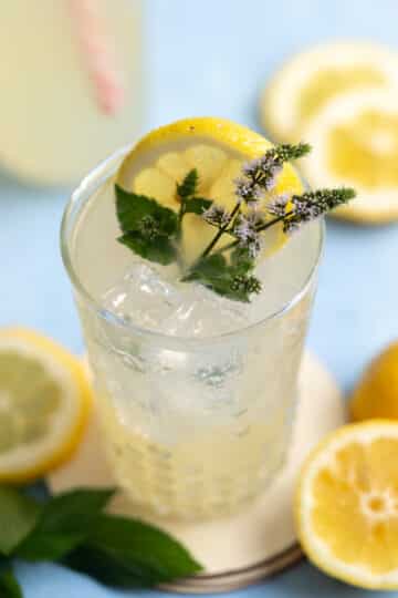 Easy Lemon Soda Recipe - Peel with Zeal