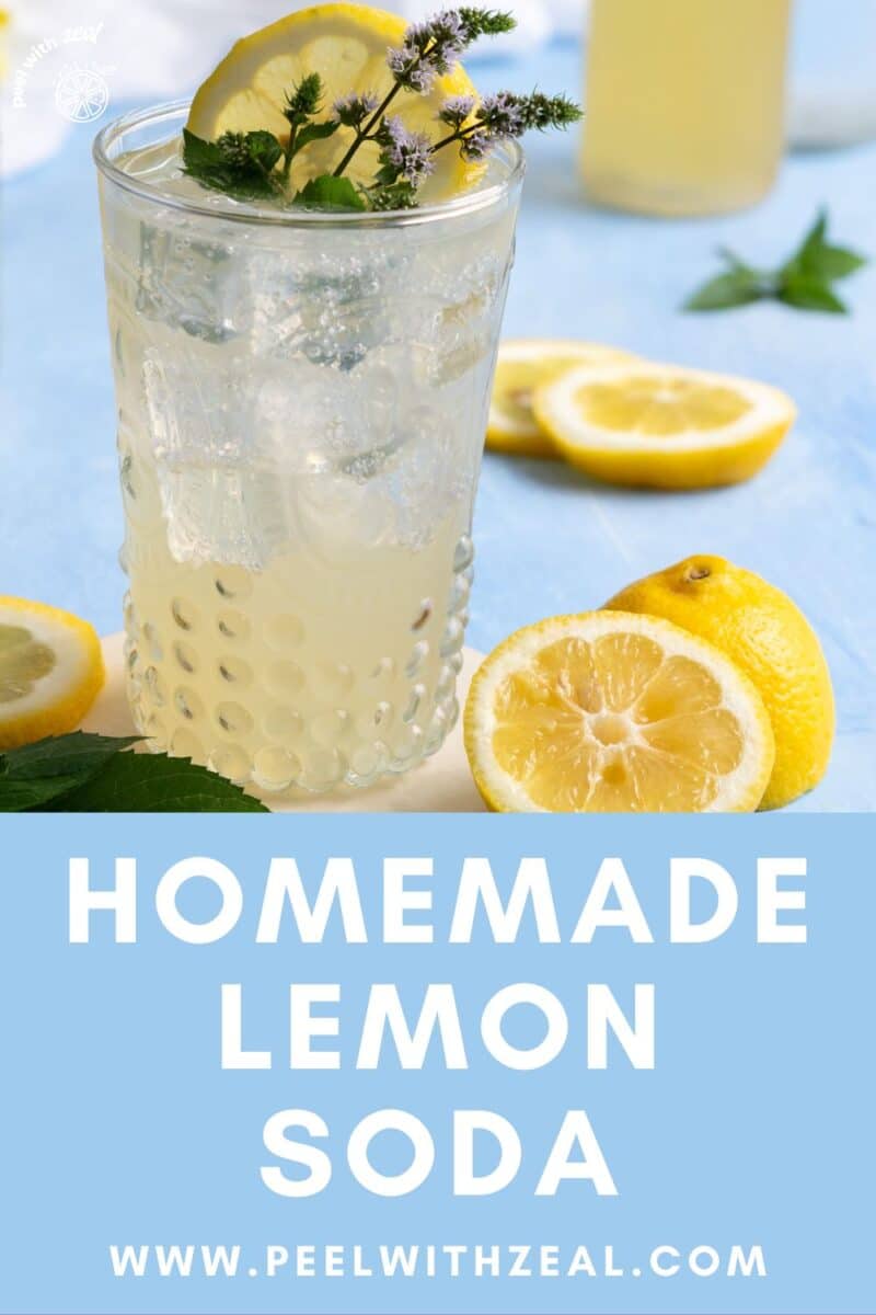 Fresh Lemon Soda Recipe - Peel with Zeal
