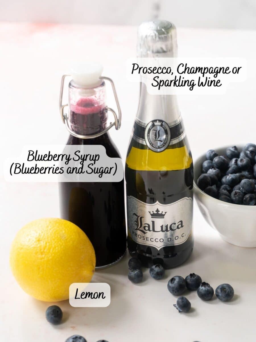 Easy Bluberry Mimosa Recipe- Peel with Zeal