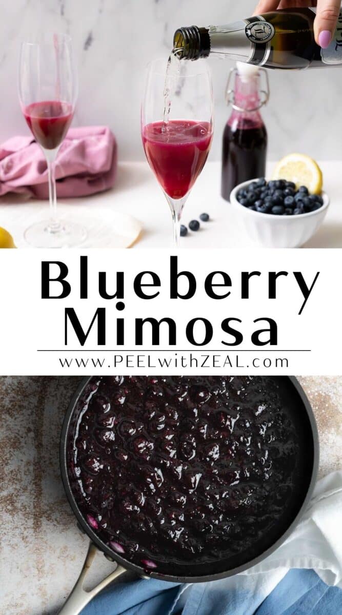 Easy Bluberry Mimosa Recipe- Peel with Zeal