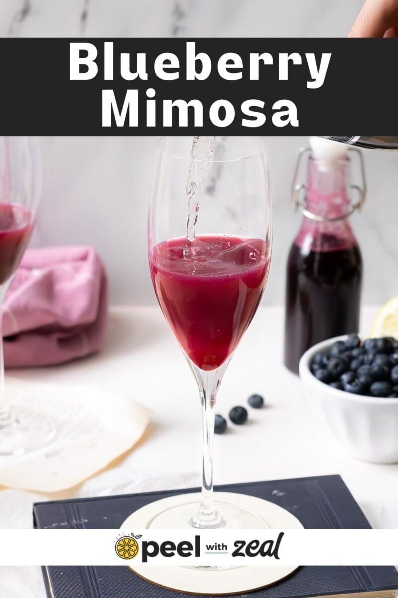 Easy Bluberry Mimosa Recipe- Peel with Zeal