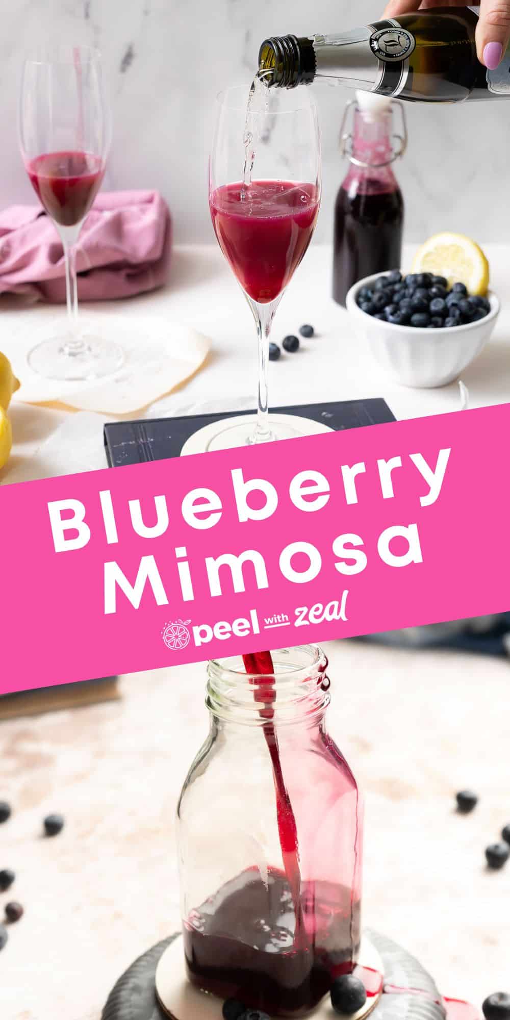 Easy Bluberry Mimosa Recipe- Peel with Zeal